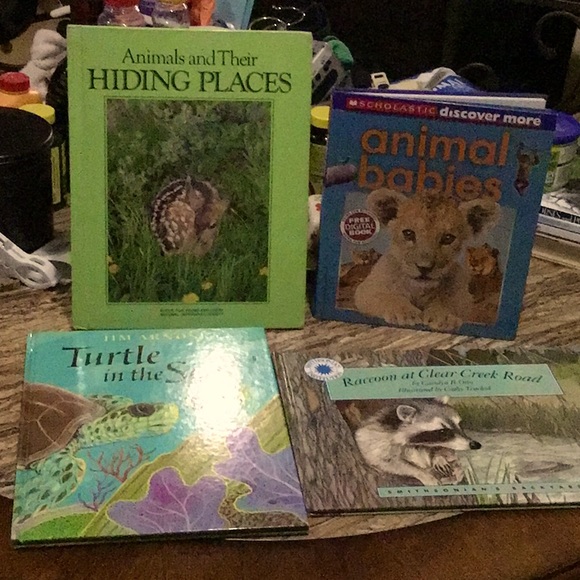 Other | Lot Of 4 Kids Books | Poshmark